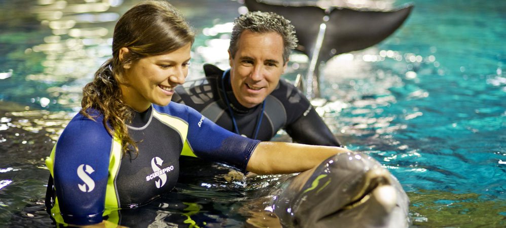 Disney Epcot, Swim with Sea Turtles, Dolphins, Rays & Sharks